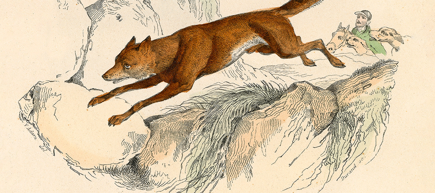 Georges-Louis Leclerc, Comte de Buffon – THE DYBDAHL CO. US